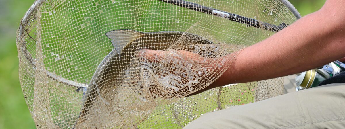 Reglamentación de la pesca en Irlanda • Guide-Irlande.com
