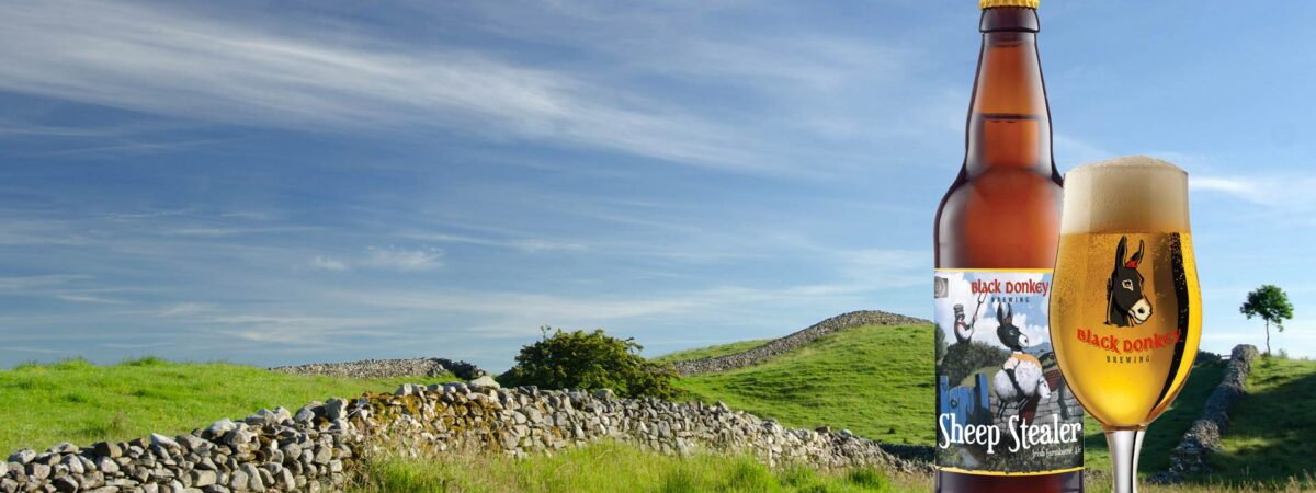 La Black Donkey Brewing Ltd. • Guide-Irlande.com