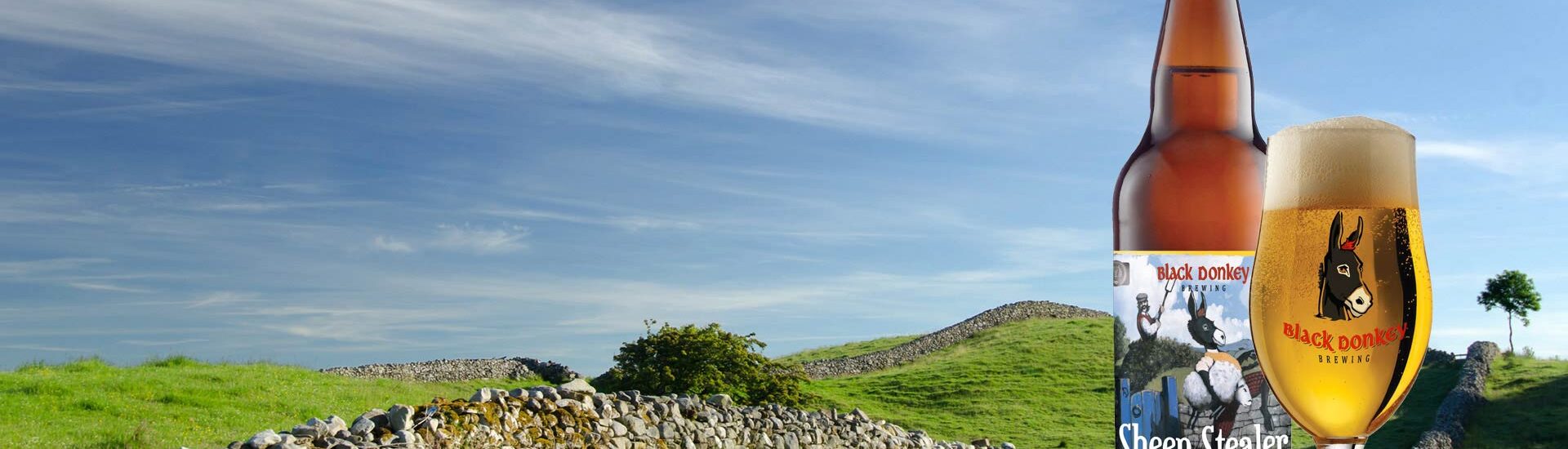 La Black Donkey Brewing Ltd. • Guide-Irlande.com